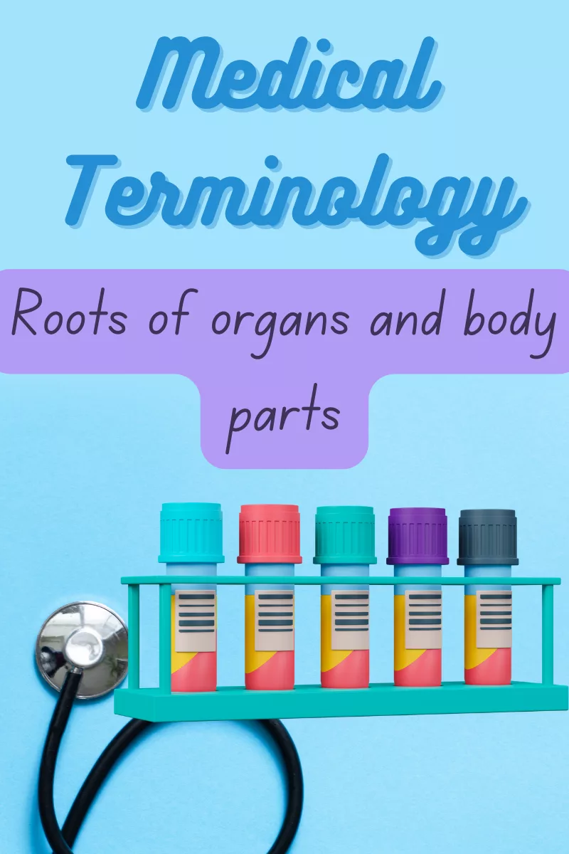 Understanding Medical Terminology: Body Parts - Emma Stewart Writes